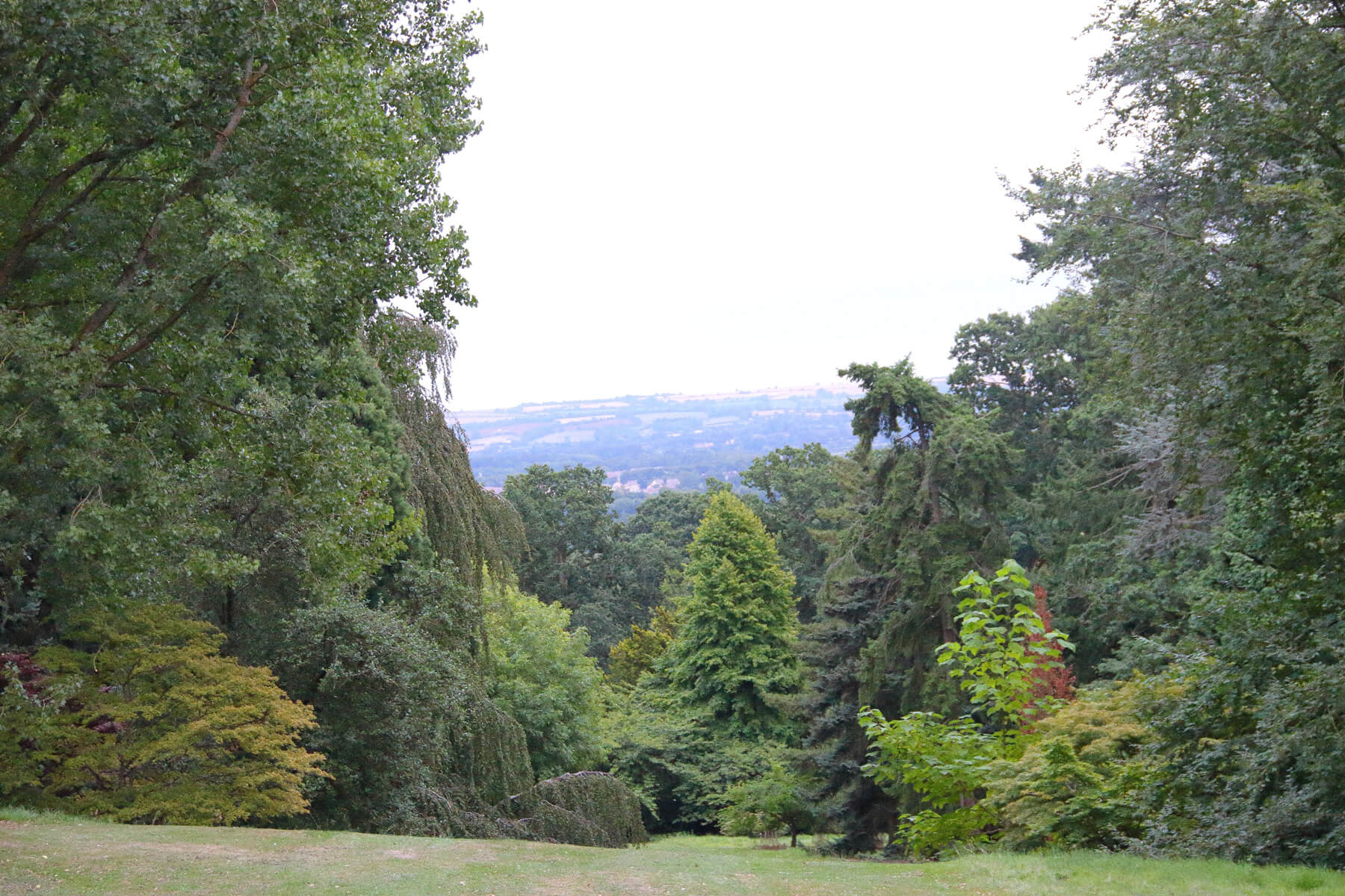 Home - Batsford Arboretum in The Cotswolds