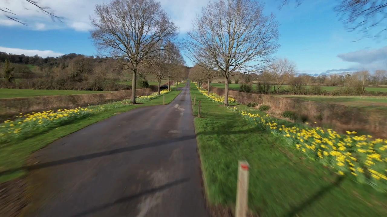 Home - Batsford Arboretum in The Cotswolds